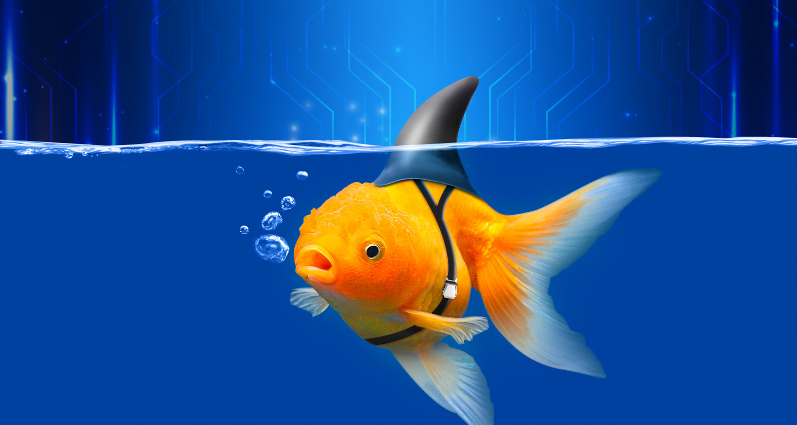 Vacation job – Schobertechnologies